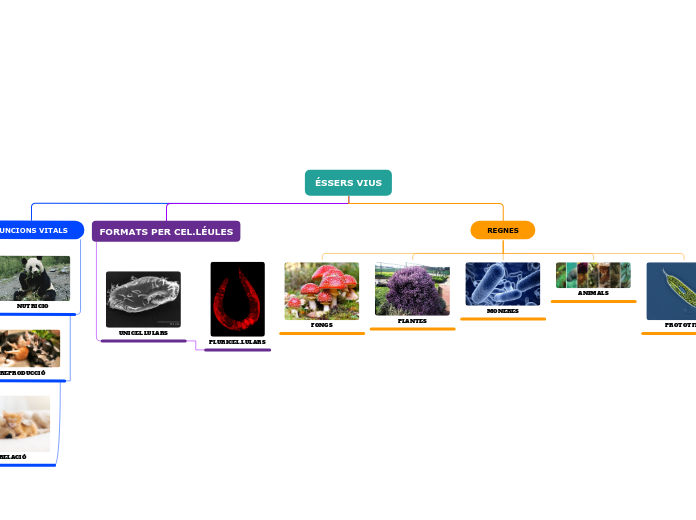 ÉSSERS VIUS - Mind Map